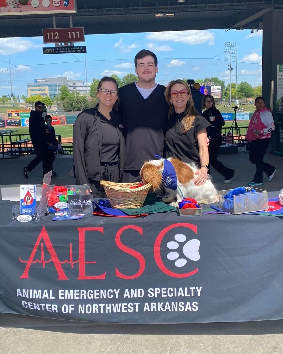Bark At the Park: Arvest Ballpark | Animal Emergency Clinic of ...